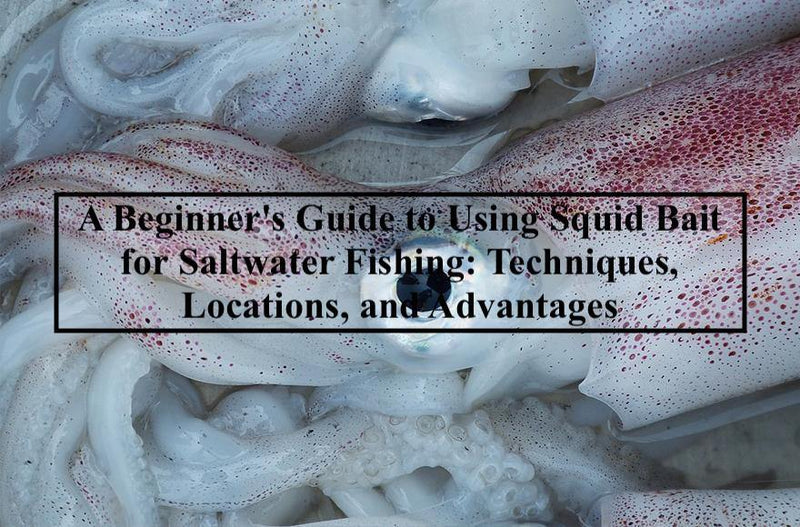 A Beginner's Guide to Using Squid Bait for Saltwater Fishing – Tackle Pier