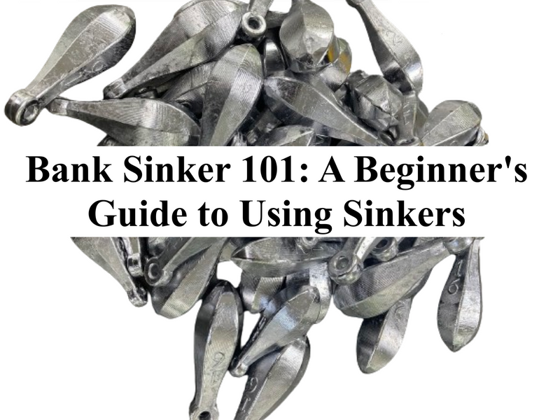 Bank Sinker 101: A Beginner's Guide to Using Sinkers – Tackle Pier