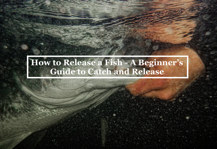 How to Release a Fish: A Beginner’s Guide to Catch and Release – Tackle ...
