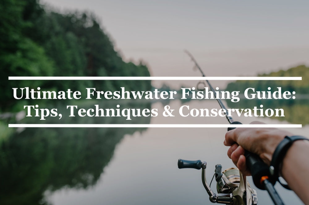 Freshwater Fishing Guide: Tips, Techniques & Conservation – Tackle Pier